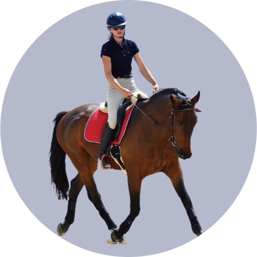 Urban Equestrian